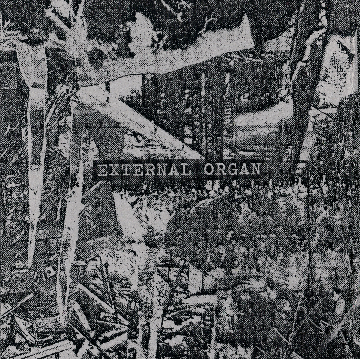 External Organ – Internal Void CD – Blacksound Records