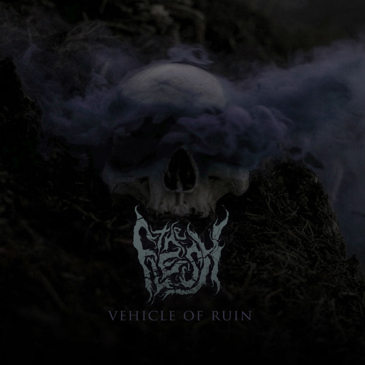 The Flesh – Vehicle Of Ruin MC (Rare / Used, VG+) – Blacksound Records